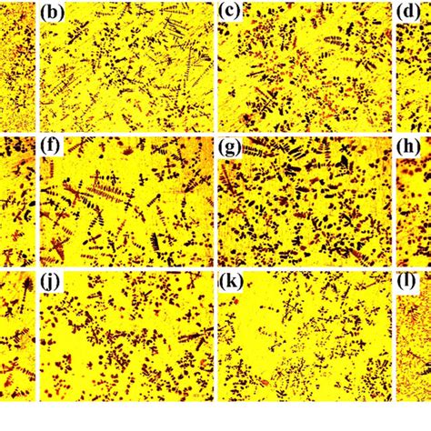 Microstructure In Different Positions Of The W Ingot A 00 Cm B