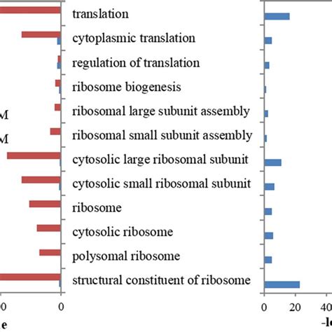 Kegg Analysis Of The Differentially Transcripts Regulated At Low Versus Download Scientific