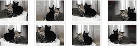 Data Augmentation Cnn Convolutional Neural Network Dee