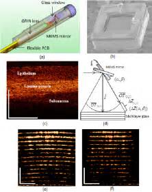 Correction Of Image Distortions In Endoscopic Optical Coherence Tomography Based On Two Axis