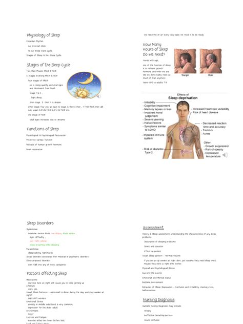 Week 13 Lecture Physiology Of Sleep Outline Pdf