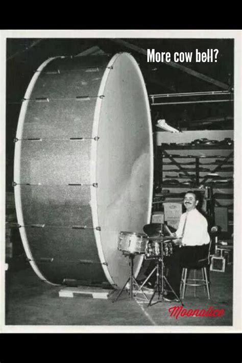 More Cowbell Drum And Bass Drums Drummer