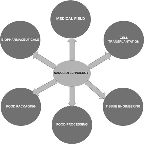 2 Various Applications Of Nanobiotechnology Download Scientific Diagram