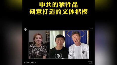 不断被塑造出来的明星，早晚是中共的牺牲品 郝海东 叶钊颖 明星 Youtube
