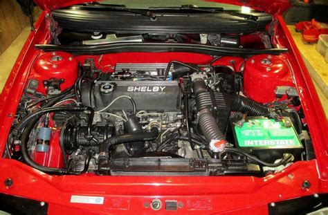 5 Shelby Branded Dodge Models You Probably Forgot Existed Autoevolution