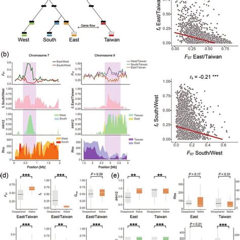 Relationship Between Genetic Divergence F St And Gene Flow F D And