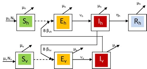 Schematic Diagram Seir − Sei Model Of Human Vector Human See Online Download Scientific