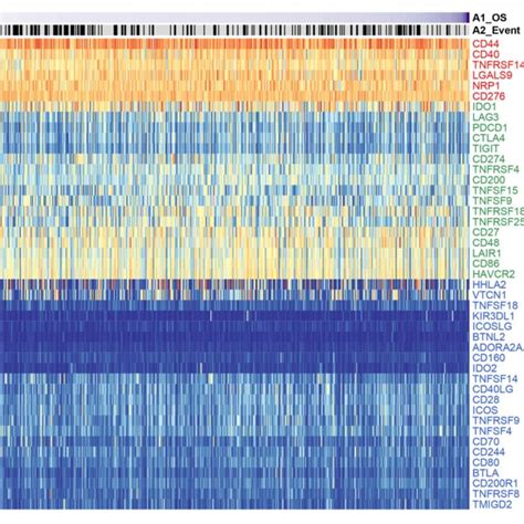 Unsupervised Clustering Of Icgs In The Tcga Luad Cohort The Overall