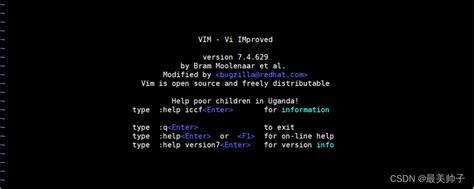 Vim入门文本编辑命令(常用)vim添加注释 Csdn博客 Vim入门文本编辑命令(常用)vim添加注释 Csdn博客