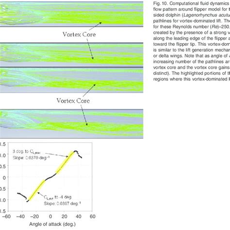 Computational Fluid Dynamics Visualization Of The Flow Pattern Around