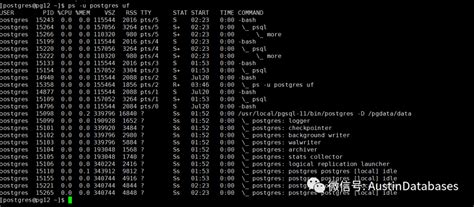 如何从postgresql外部来查看内存 大数据 亿速云 如何从postgresql外部来查看内存 大数据 亿速云