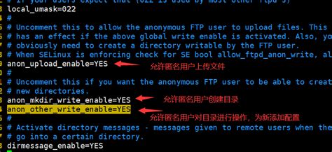 nfs远程共享存储及vsftpd配置 nfs配置共享路径 csdn博客