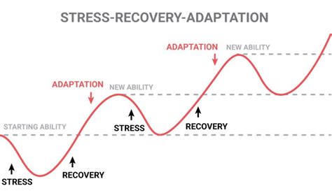 The Stress Recovery Adaptation Cycle