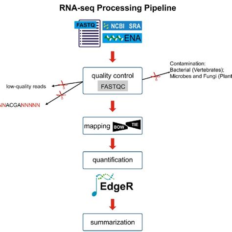 the basic workflow of rna seq analysis the human data sets collected