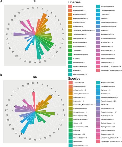 The Spearman Correlation Between Ph A Nn B And Dominant Bacteria