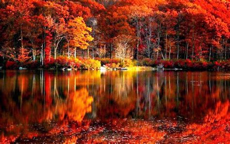 Hd Fall Scenery Wallpapers Pixelstalknet