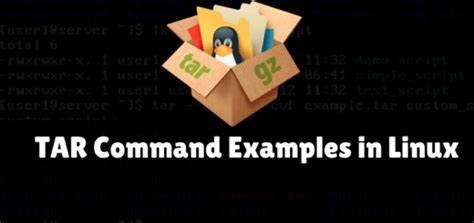 Best Linux Chmod Command With Examples ITSmartTricks