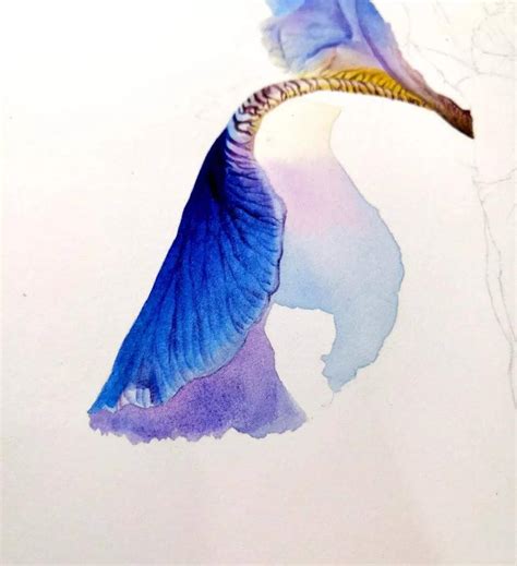 0基础 自学水彩画教程水彩画入门一步一步教（水彩全套视频教程） 搜狐大视野 搜狐新闻