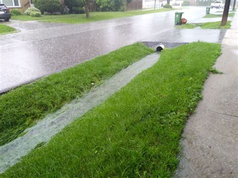 From Drainage Ditch To Vibrant Pollution Absorbing Habitat Spacing