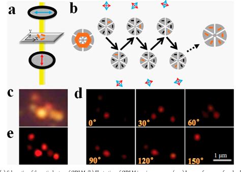 Figure 1 From Subdiffraction Limited Plasmonic Imaging With Anisotropic Metal Nanoparticles