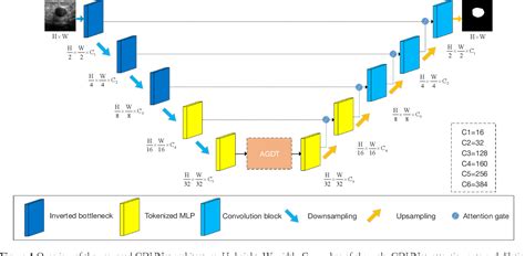 Figure 1 From Attention Gate And Dilation U Shaped Network Gdunet An Efficient Breast