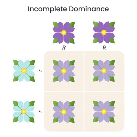 Premium Vector Incomplete Dominance Genome Sciences Educational