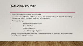 Pulmonary Hypertension Pptx