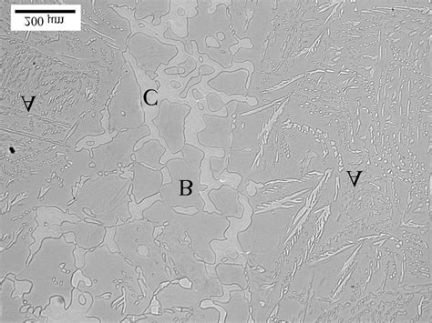 The Microstructure Of A Polycrystalline Sample Particles Of Fcc Cobalt Download Scientific