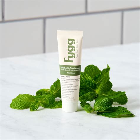 Travel Size Toothpaste Mild Mint Fygg