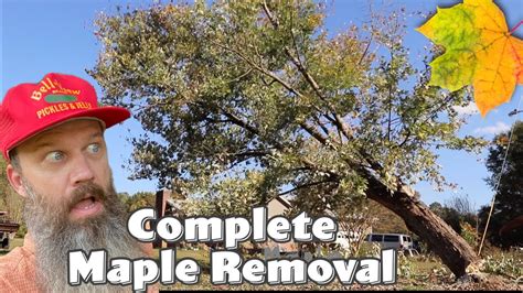 DIY Complete Tree Removal Even The Stump EP YouTube