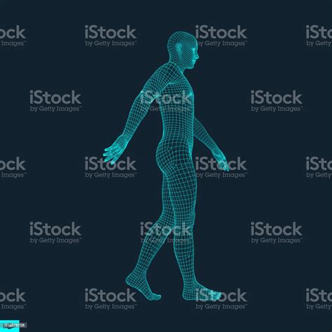 남자 3d 인체 모델을 걷고 있다 기하학적 디자인입니다 인체 와이어 모델입니다 벡터 일러스트입니다 와이어 프레임 모델에 대한