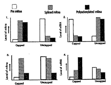 Previous Year Questions Pyq 2013 June Csir Net Life Sciences Triyambak Life Sciences