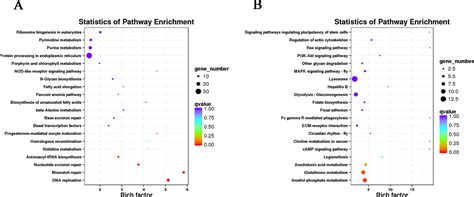 Frontiers Conjoint Analysis Of Smrt And Illumina Based Rna