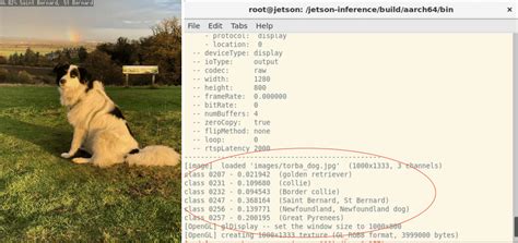 Jetson Nano Object Detection And Image Classification Nerc