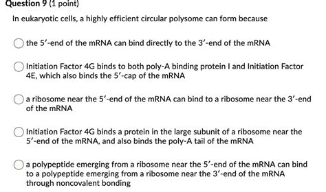 Question 9 1 Point In Eukaryotic Cells A Highly Efficient Circular