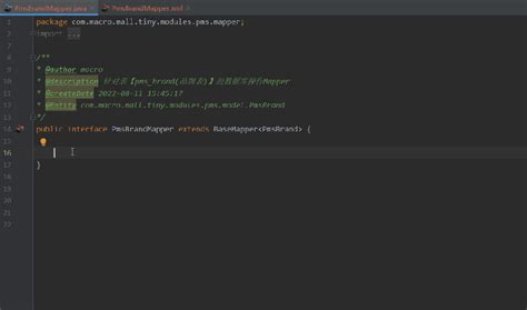 SpringBoot MybatisX真香 程序员小 的技术博客 CTO博客