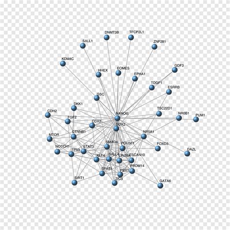 Subnetwork Igraph Computer Network Angle Vertex Blue Computer Network