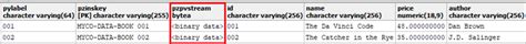 Customerdata Non Blob Vs Pegadata Blob Support Center