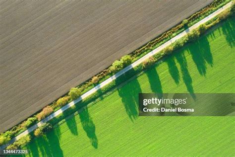 Parting Grass Photos And Premium High Res Pictures Getty Images