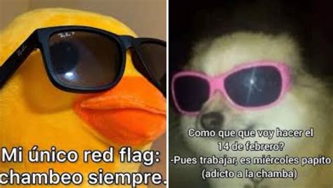 Soy Adicto A La Chamba Los Mejores Memes Con Frases Chambeadoras De
