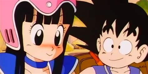 Things You Didnt Know About Chi Chi And Gokus Relationship