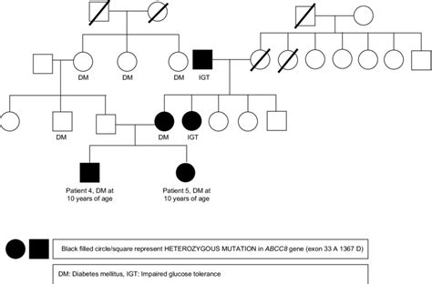 Pedigree Of Patient Nd And Bd With Dominant Inactivating Mutation In