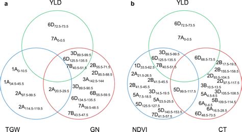 Common And Specific Qtls For Grain Yield And Other Component Traits