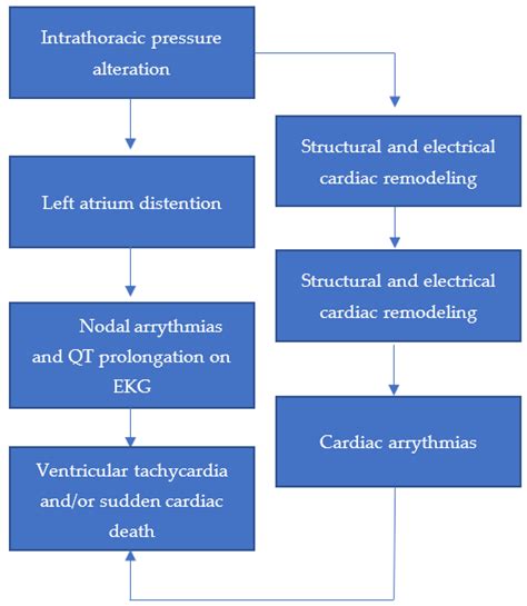 A Scoping Review Of Sleep Apnea Where Do We Stand