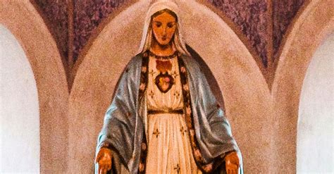 Août Un Mois En Lhonneur Du Cœur Immaculé De Marie Et Requête Du
