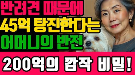 어머니 재산 45억 지키려 반려견 안락사 시키려던 자식들 어머니의 충격적인 200억 반전 오디오북 사연 라디오 인생 노후준비 지혜 시어머니