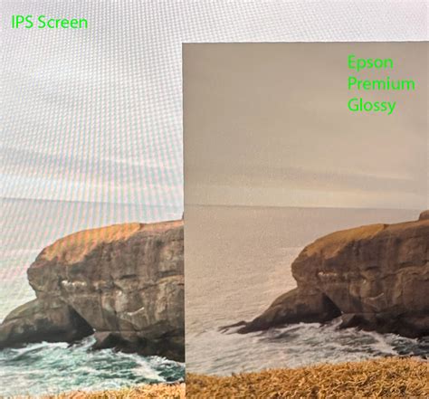 Hp Premium Plus Paper And L Printerknowledge Laser D Inkjet Printer Help