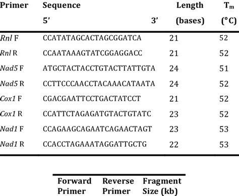 Primer Designed For Amplification Of The Whole Mitochondrial Genome