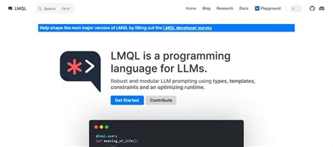 Programming Language For Llms