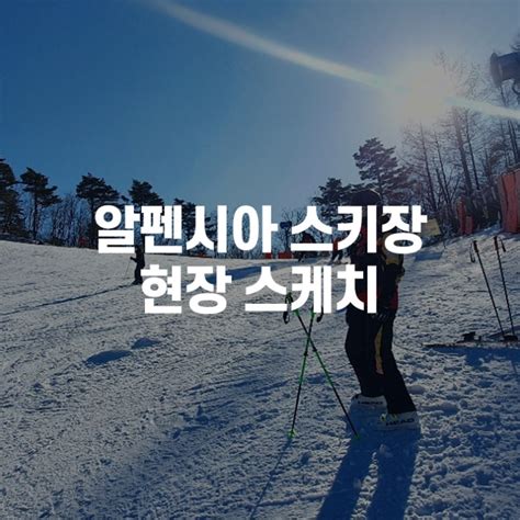 알펜시아 리조트 스키장 현장스케치 네이버 블로그